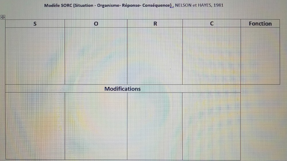 Outils pour EVALUER UN COMPORTEMENT: Méthode A.B.C. et S.O.R.C ...