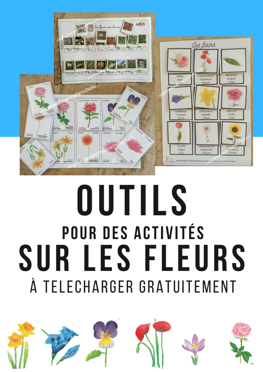 Outils pour des activités sur les FLEURS – Virginie Couillaud ...