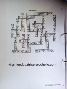 Outils EMOTIONS 6: JEUX DE LETTRES: mots croisés, mots mêlés, petit bac ...