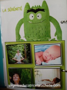 Outils EMOTIONS 5: PHOTO-EXPRESSION – Virginie Couillaud, éducatrice ...